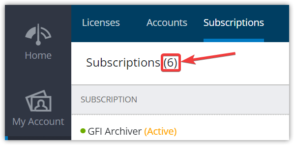 How can I see how many active subscriptions are under my partner account? – Customer Care Center